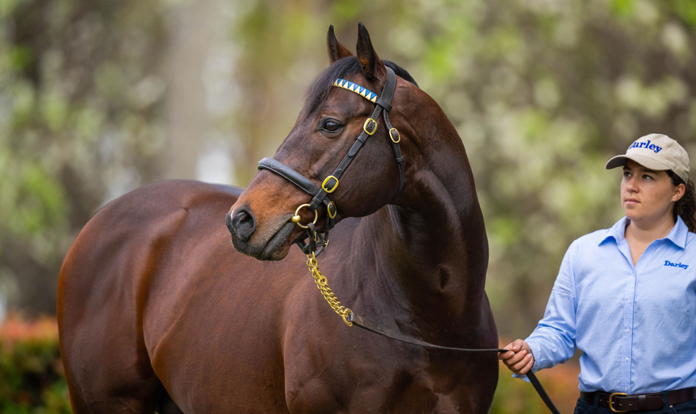 Angel sprouts wings at The Valley | Australia